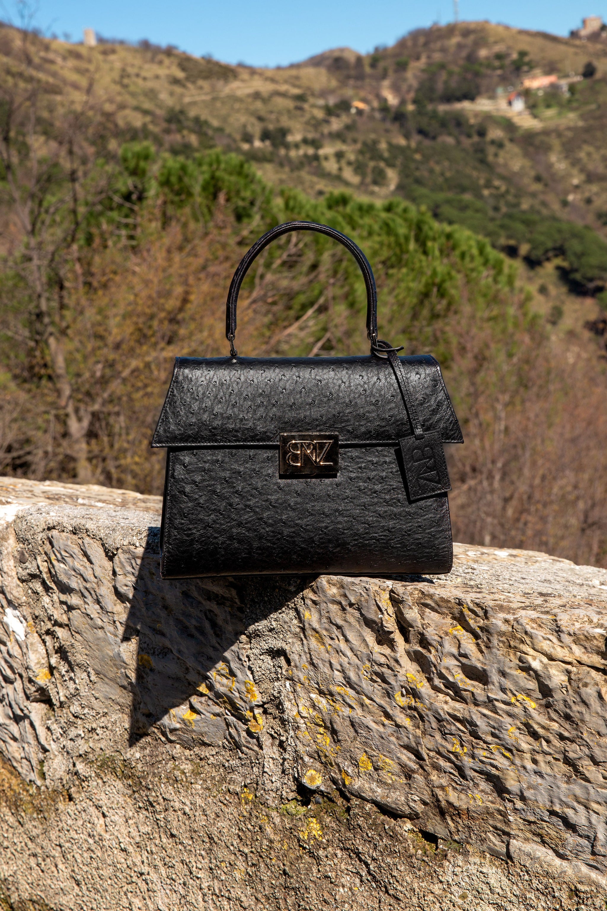 Berénize Handbags
